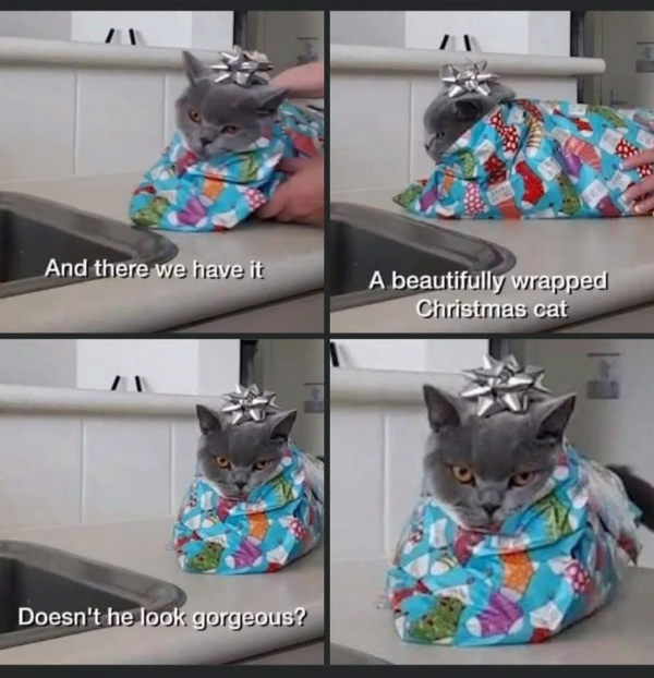 Monday Morning Memes