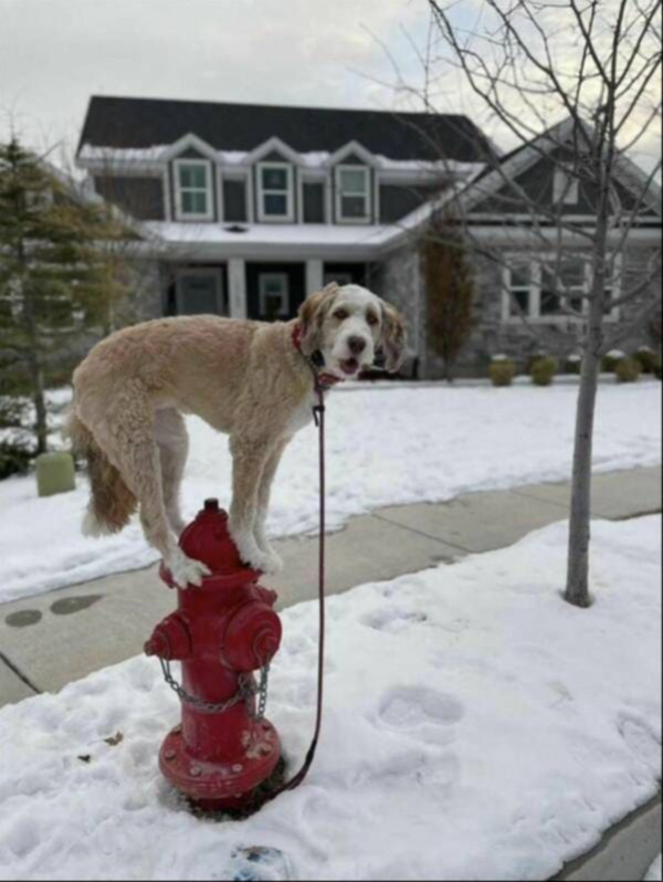 Daily Afternoon Randomness