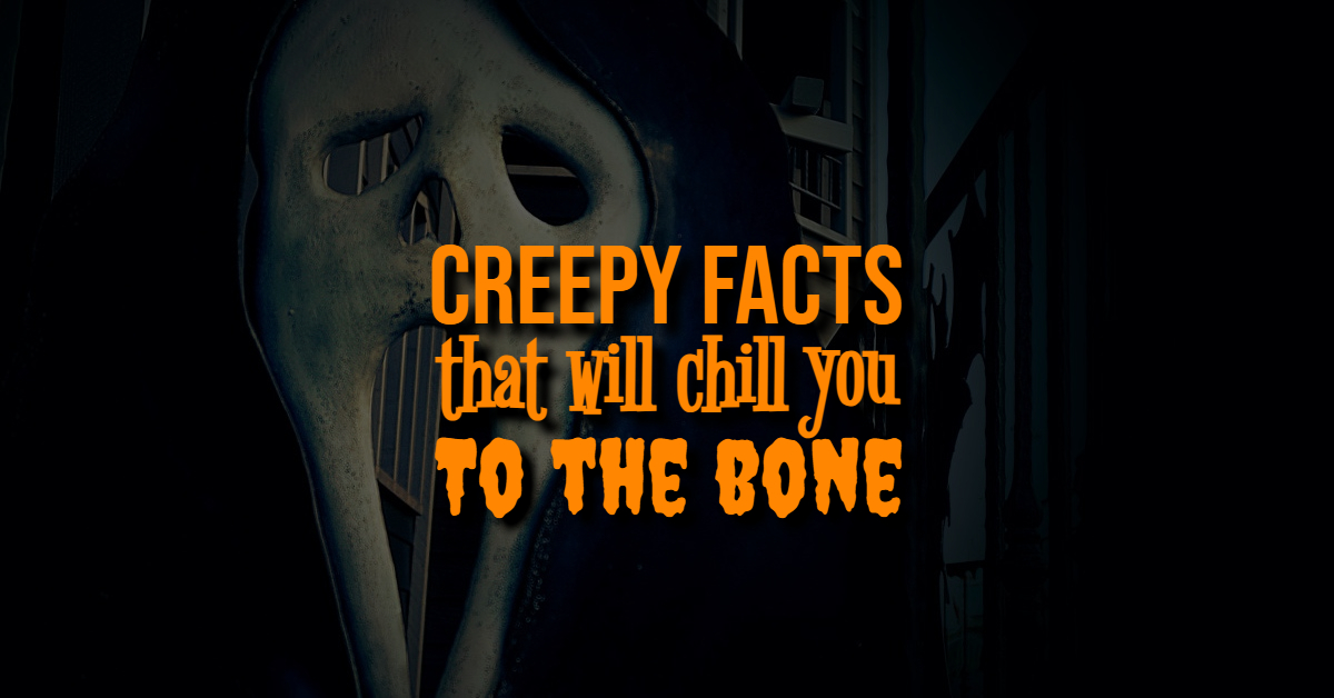 theCHIVE - Funny Photos, Memes & Videos – theCHIVE.com