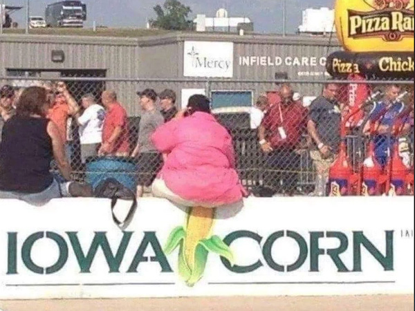 Daily Afternoon Randomness