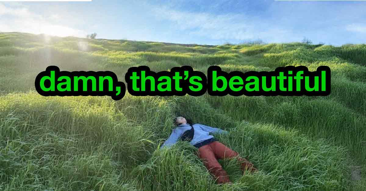 Damn, That's Beautiful
