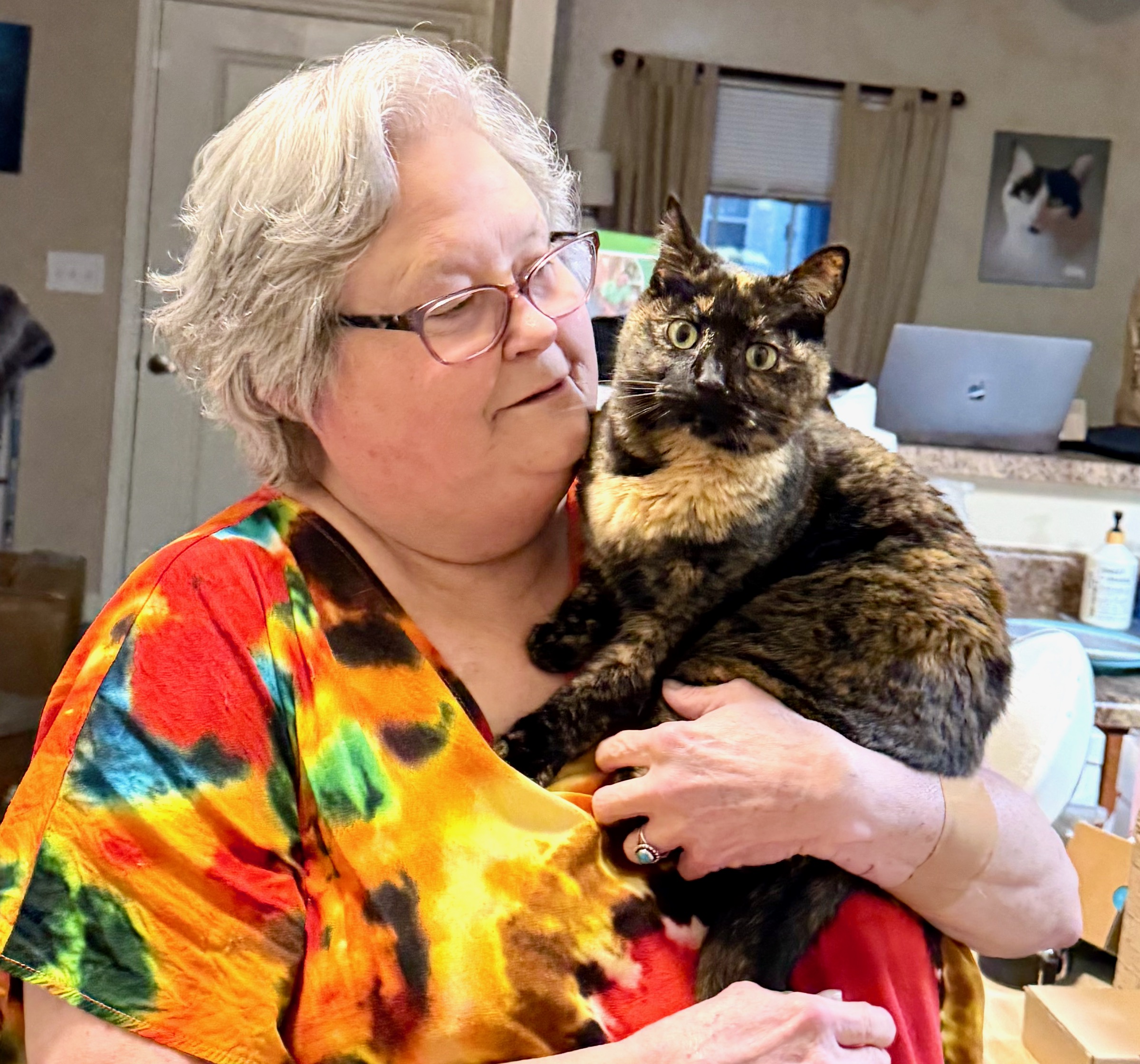 Caturday meets 10% happier (19 Photos)