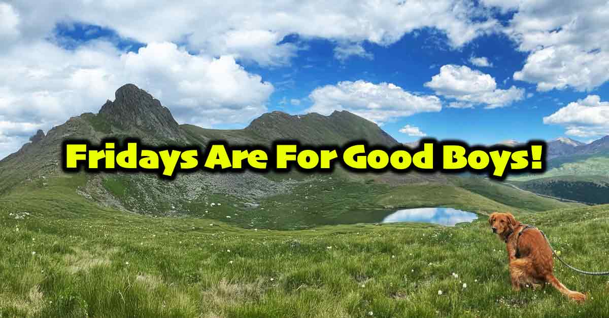 Fridays Are For Good Boys!