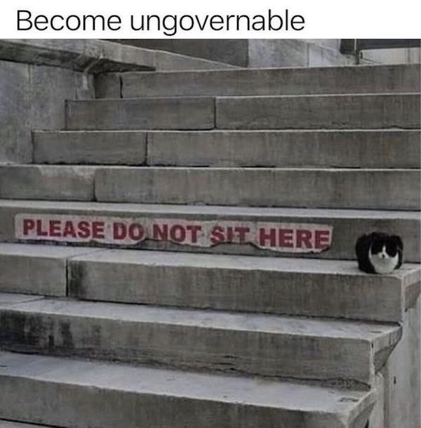 ***Post a MEME Thread*** | Page 5560 | Yellow Bullet Forums