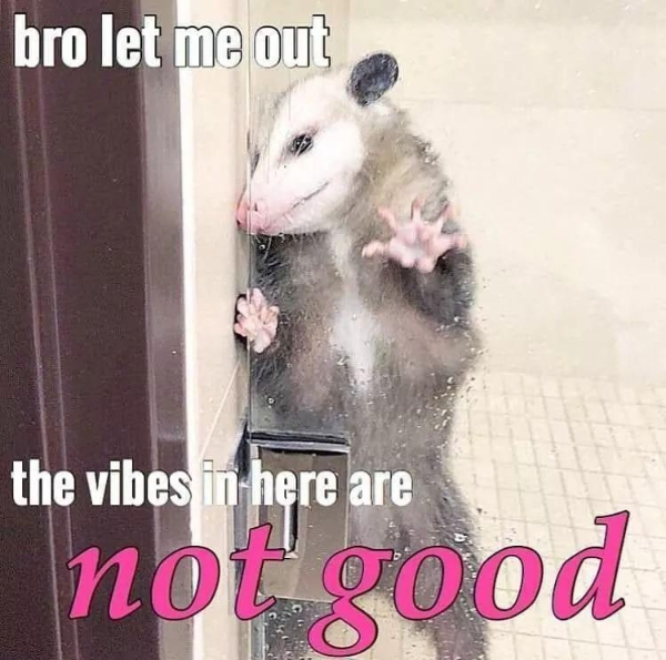 Monday Morning Memes