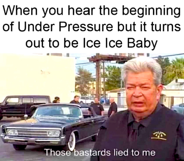 Not Wrong Memes of Funny Simple Too True Captions that Nailed It