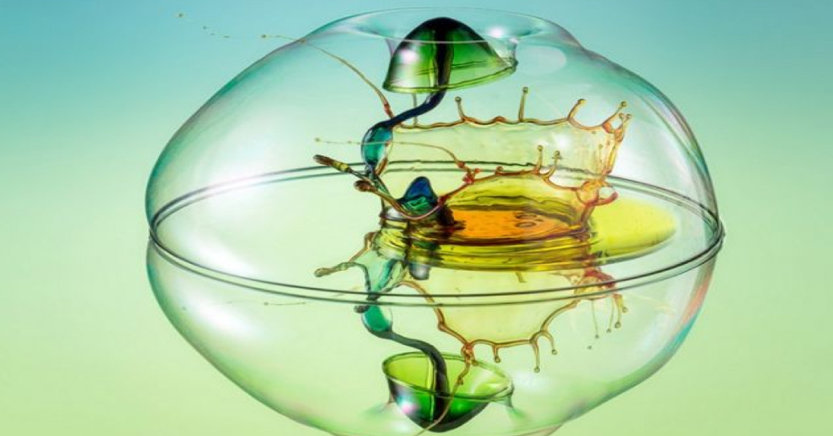 Daily Afternoon Randomness | Random Memes, Photos & Gifs - theCHIVE