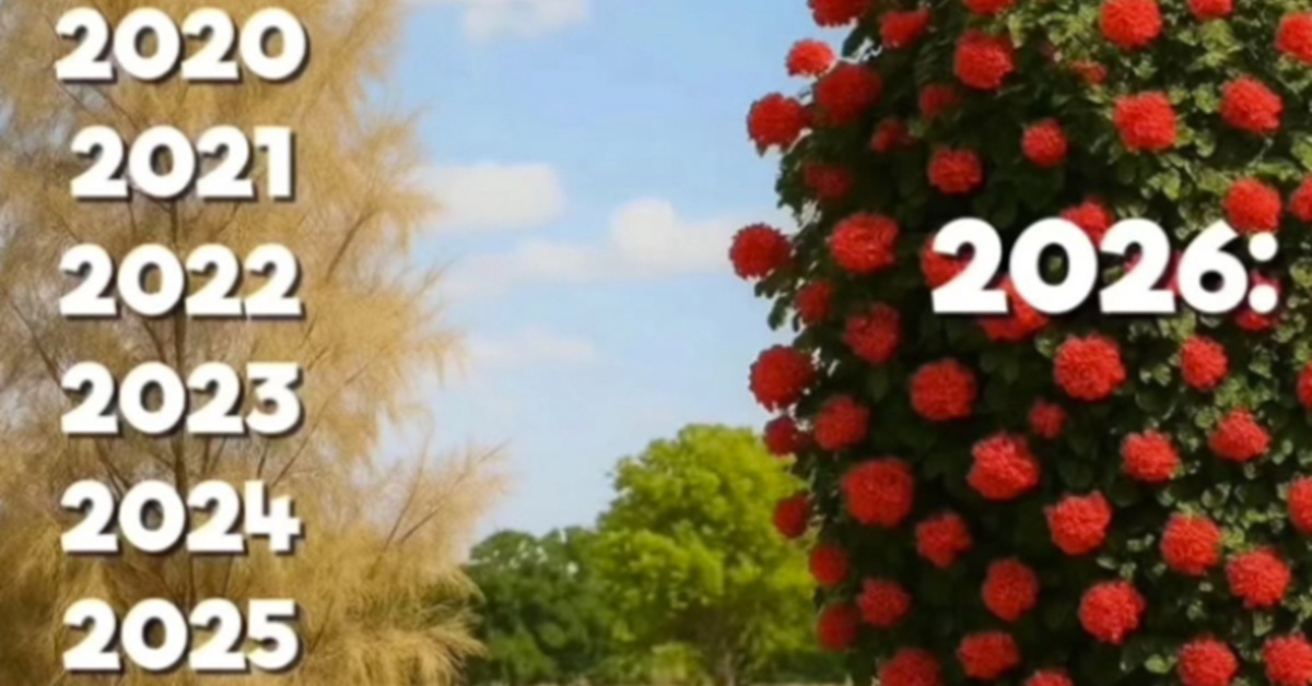 Your Weekly Dose of Wholesome Funnies