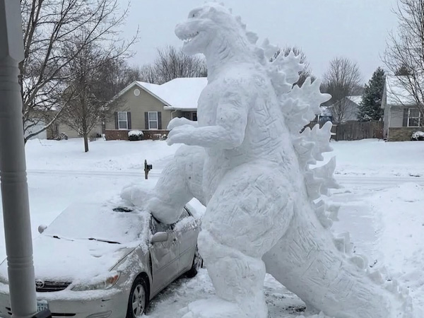 Daily Afternoon Randomness