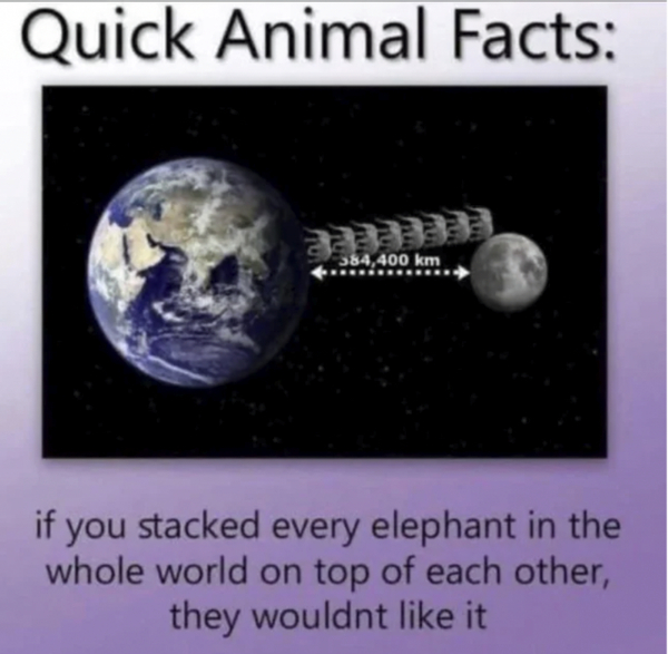 Absurd Memes from a Parallel Universe
