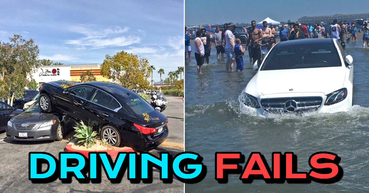 Idiots in Cars: All Brawn, No Brains