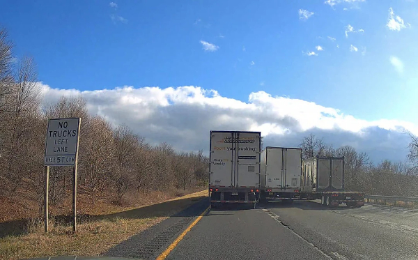 Idiots in Cars: All Brawn, No Brains
