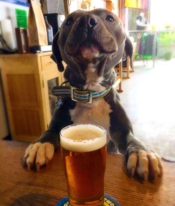 CHEERS to the Weekend!