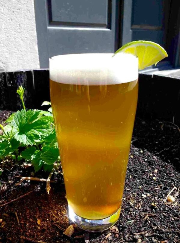 CHEERS to the Weekend! (Feb 20 2026)