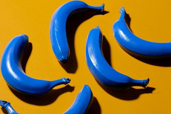 18 Random, Useless, Forgettable Facts! (Feb 12 2026)