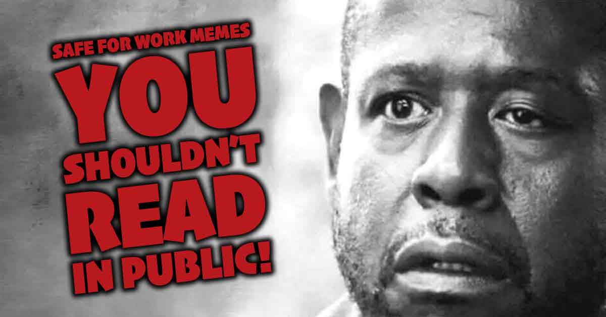 Dark Humor Memes, GIFs, Videos and More - theCHIVE
