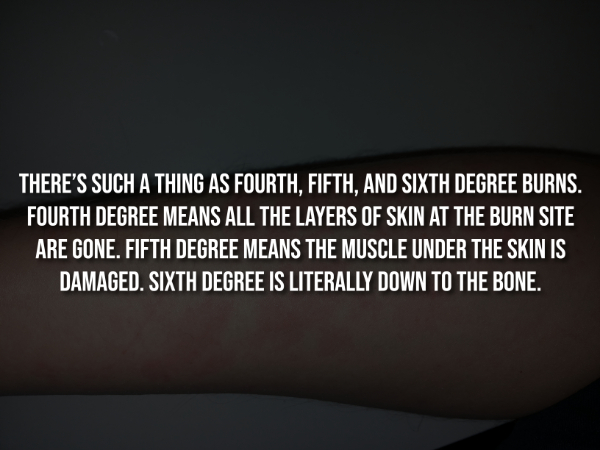 Creepy Facts That Will Chill You to the Bone