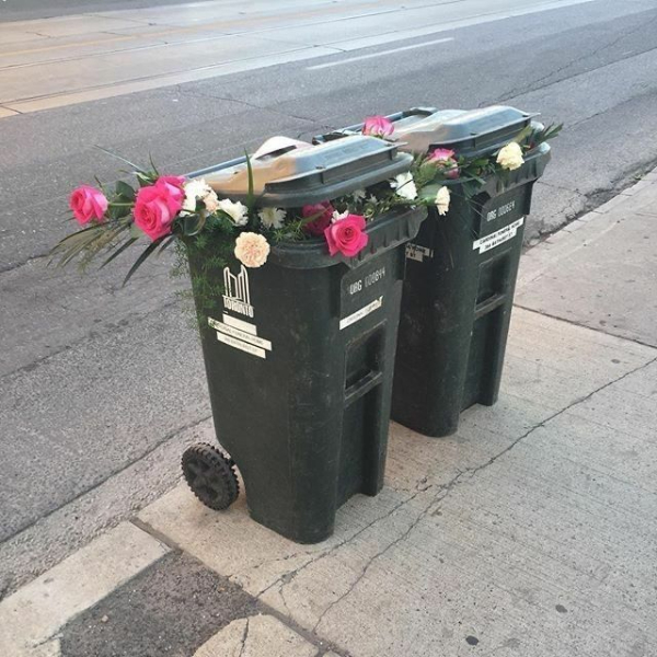 Damn, That's Beautiful (February 18th, 2026)
