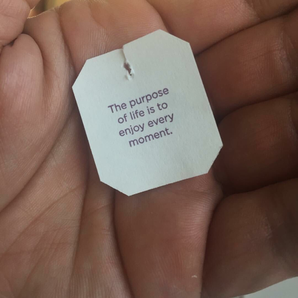 Damn, That's Beautiful (February 18th, 2026)