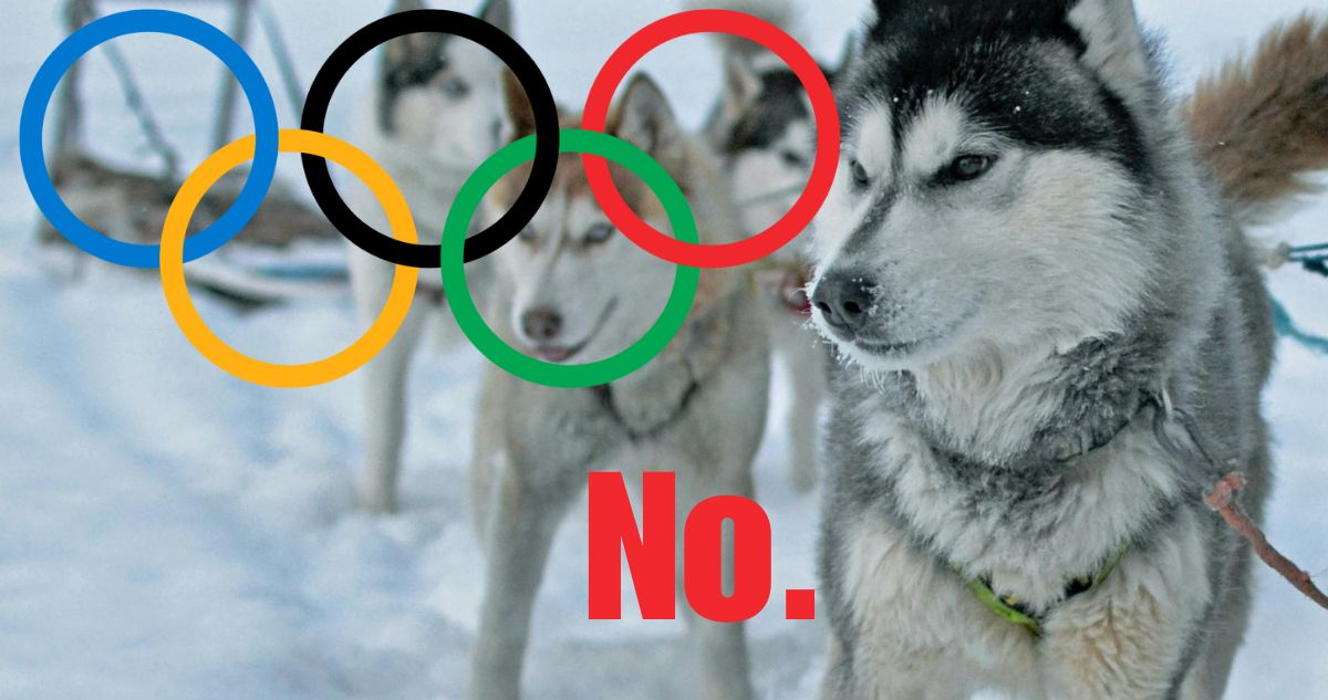 The Winter Olympics Thought These Sports Were Too Weird to Include