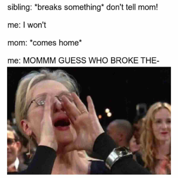 Wholesome and Chaotic Family Memes