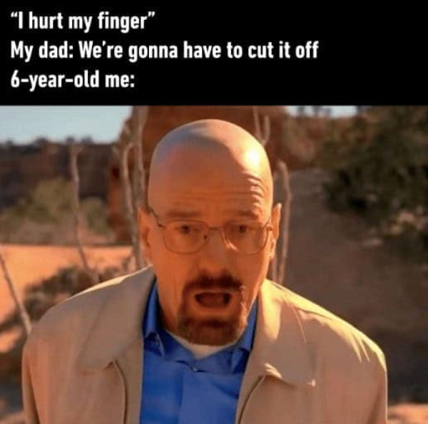 Wholesome and Chaotic Family Memes