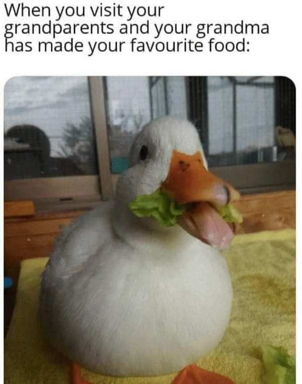 Wholesome and Chaotic Family Memes
