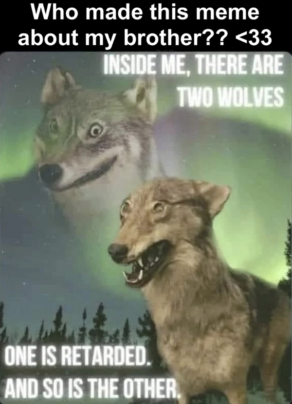 Wholesome and Chaotic Family Memes