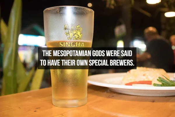 Bottoms Up To BEER Facts!