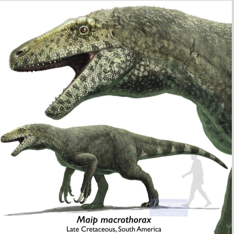 The Most Badass Dinosaurs They Didn't Teach You About in School