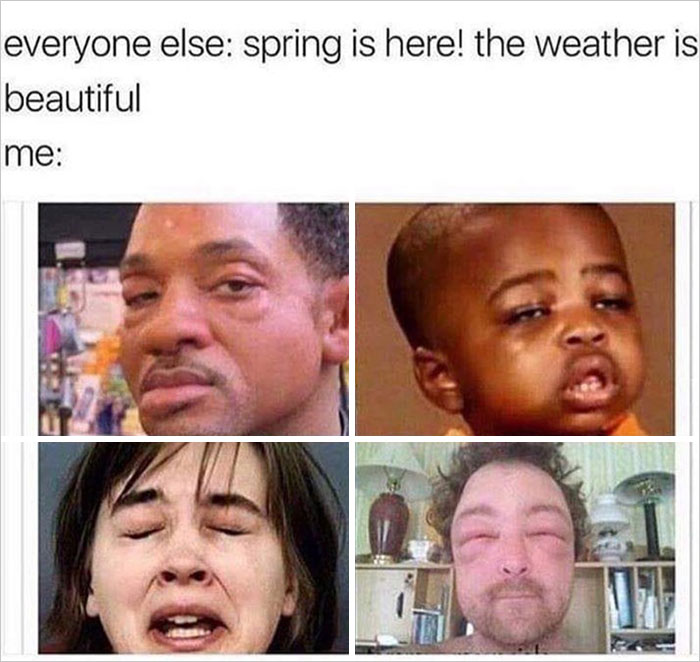 Spring Into Some Monday Morning Springtime Memes