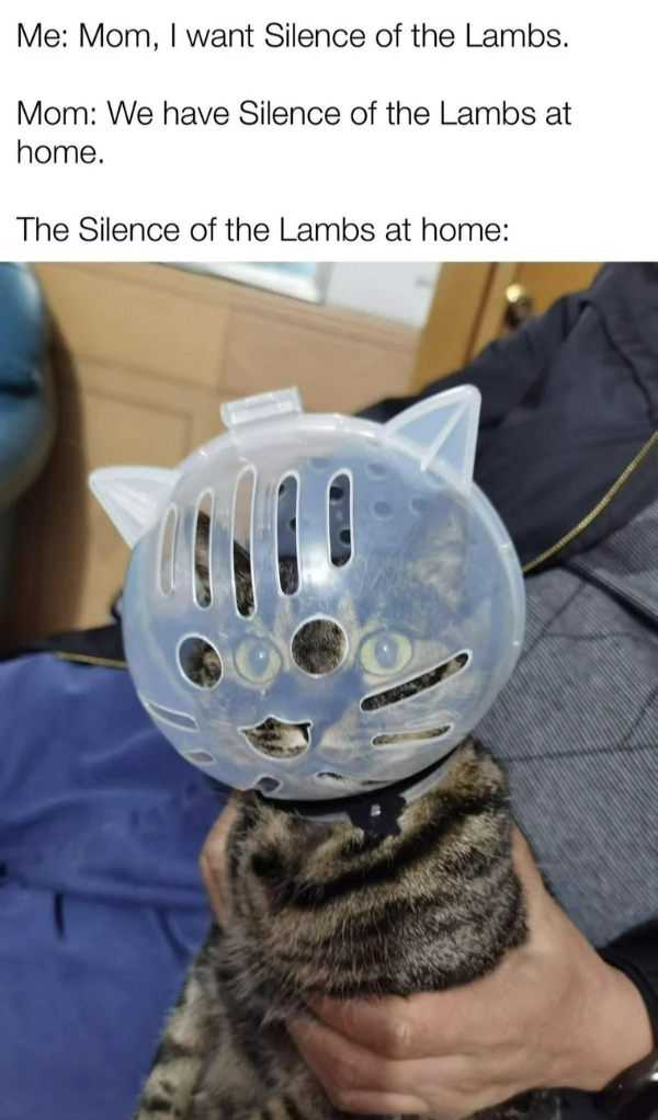 Steamin' DANK Memes Keep Things Interesting
