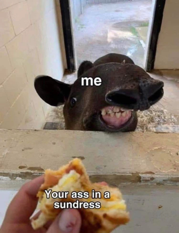 Steamin' DANK Memes Keep Things Interesting