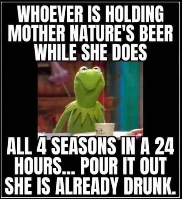Mind-LESS Memes are Funny Stupid yet Too TRUE Top Humor Photo Captions