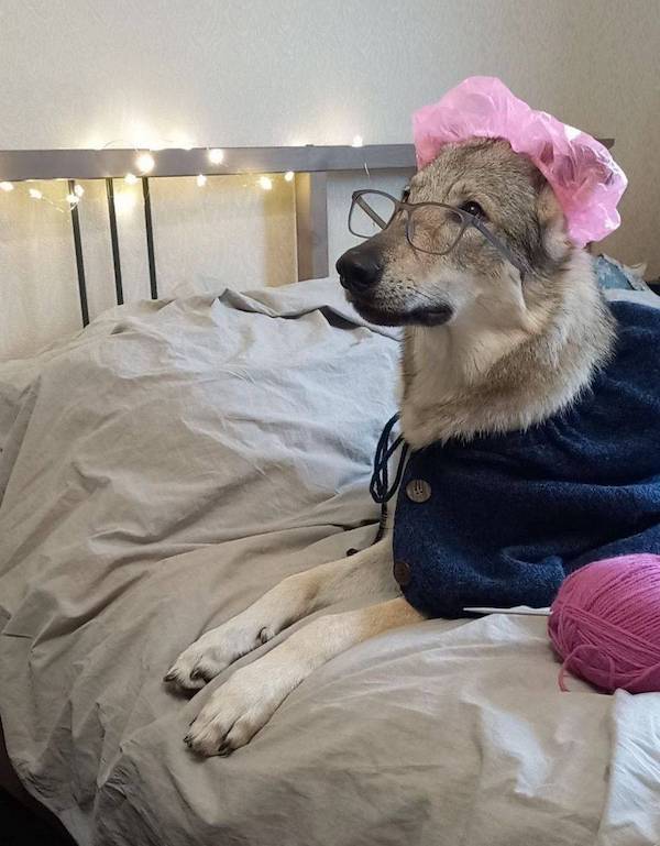 Weekend Afternoon Randomness Best Interesting and WTF Funny Photos