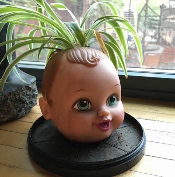 Weekend Afternoon Randomness Best Interesting and WTF Funny Photos