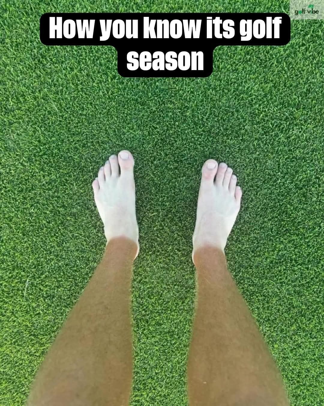 Golf Memes to Celebrate the Spirit of the Masters