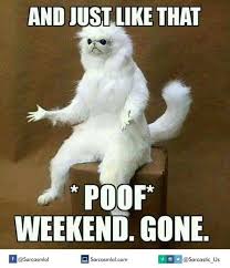Some Grumpy Memes Because What Do You MEAN It's Monday?