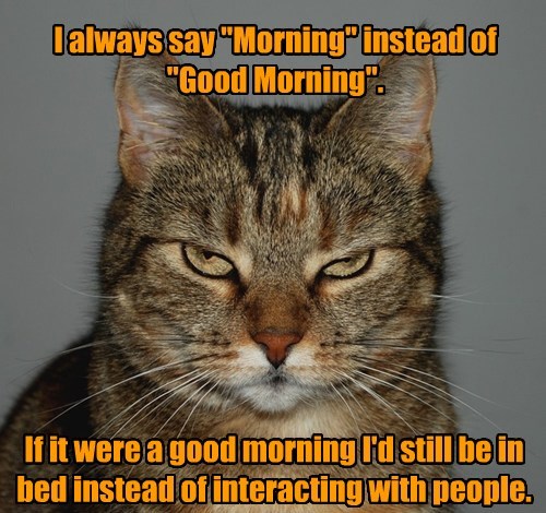 Some Grumpy Memes Because What Do You MEAN It's Monday?