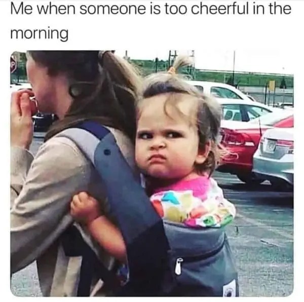 Some Grumpy Memes Because What Do You MEAN It's Monday?