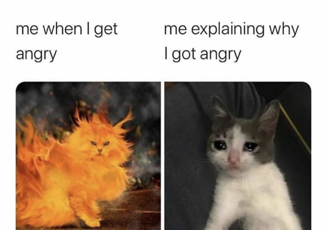 Some Grumpy Memes Because What Do You MEAN It's Monday?
