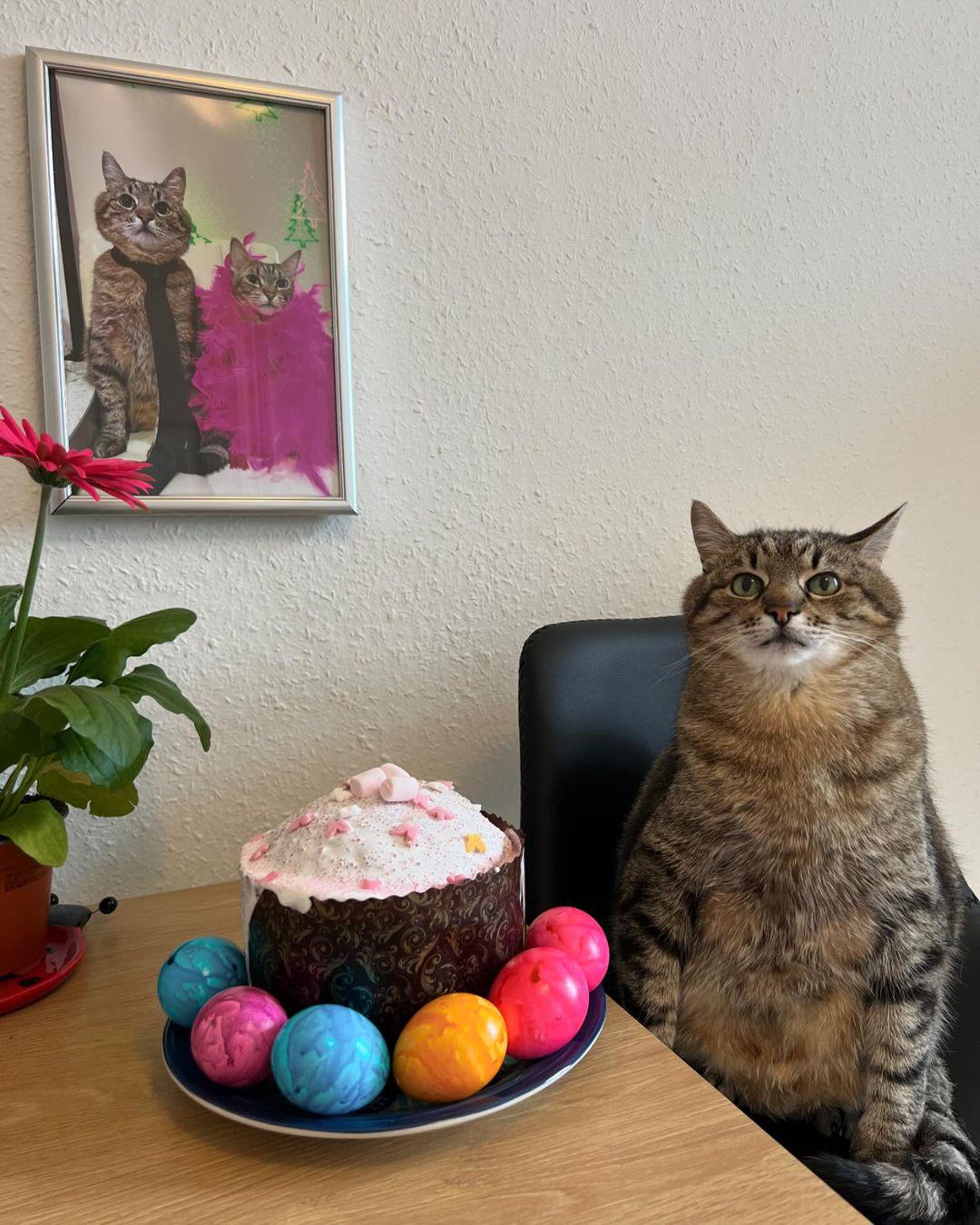 Cheer Up, It's Cat Saturday