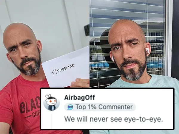 Asking The Internet To Roast You Never Ends Well (funny, roasts)