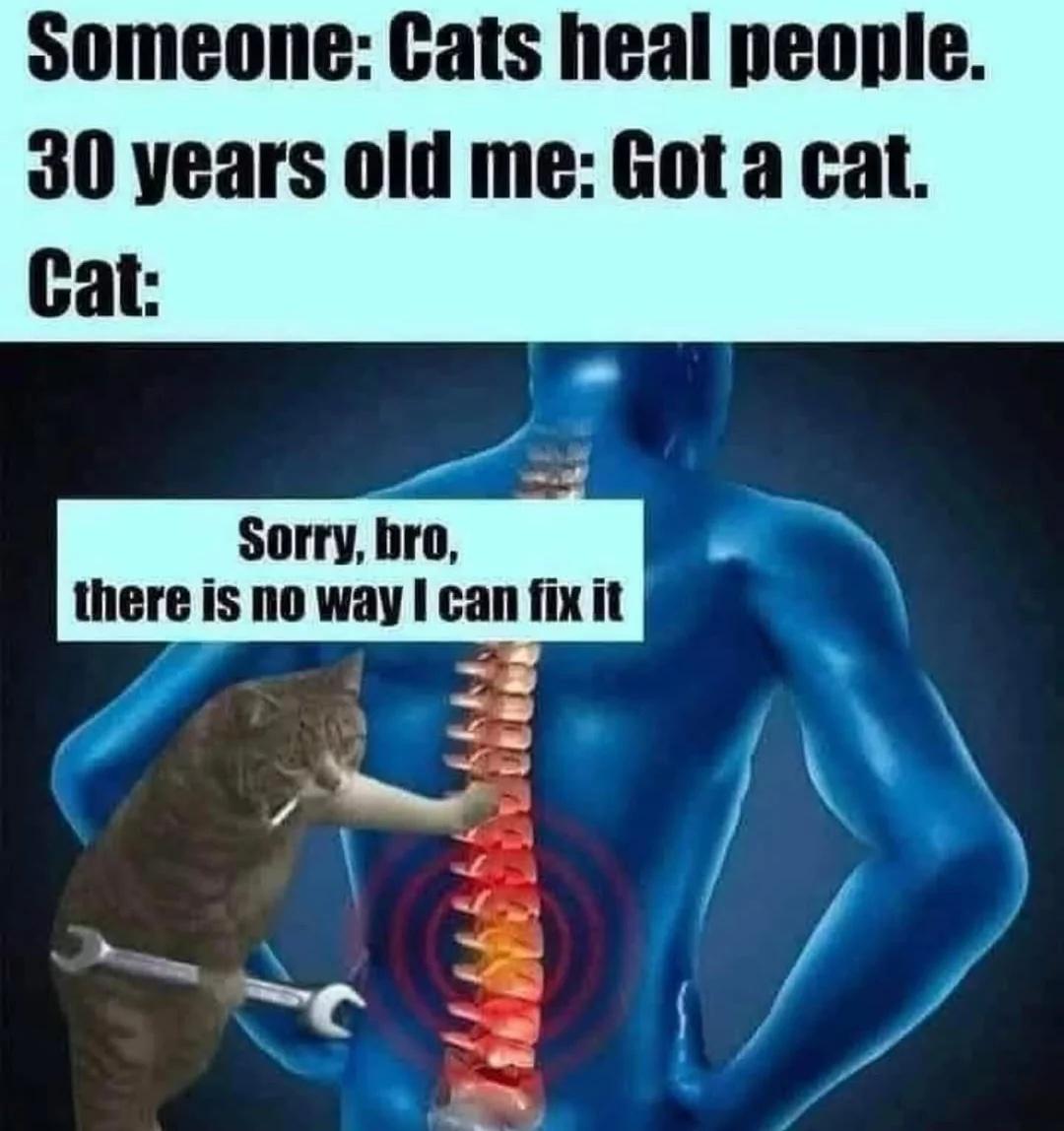 Cheer Up, It's Cat Saturday