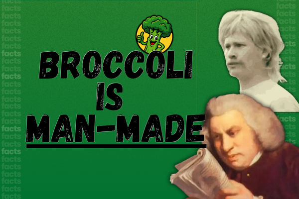 Scarf Down Some Random Food Facts