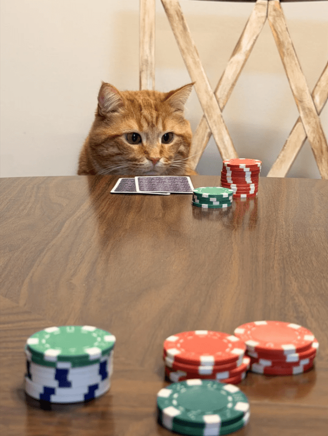Cheer Up, It's Cat Saturday