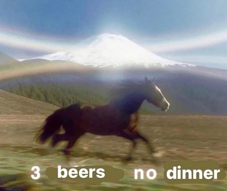 Get Ready for Saturday! These Beer Memes Will Make You Thirsty theCHIVE