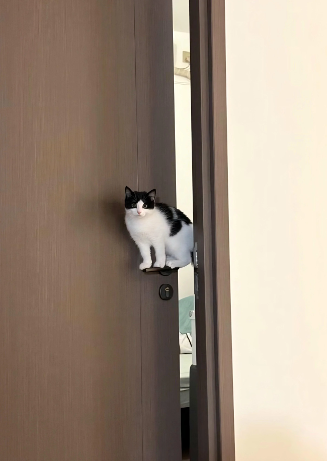Cheer Up, It's Cat Saturday