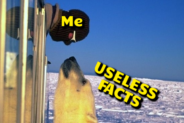 17 Random Facts You Don't Need To Know