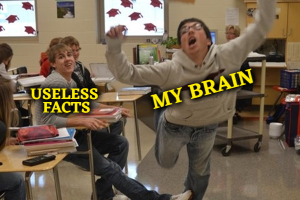 17 Random Facts To Forget Immediately